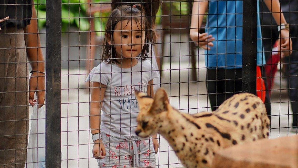 Harga Tiket Masuk Terbaru Suraloka Zoo Jogja untuk Kunjungan Mei 2026 ...
