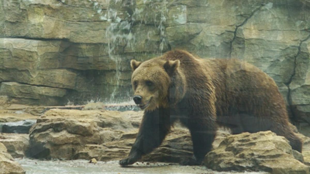 Harga Tiket Masuk Batu Secret Zoo Terbaru per November 2025, Punya ...