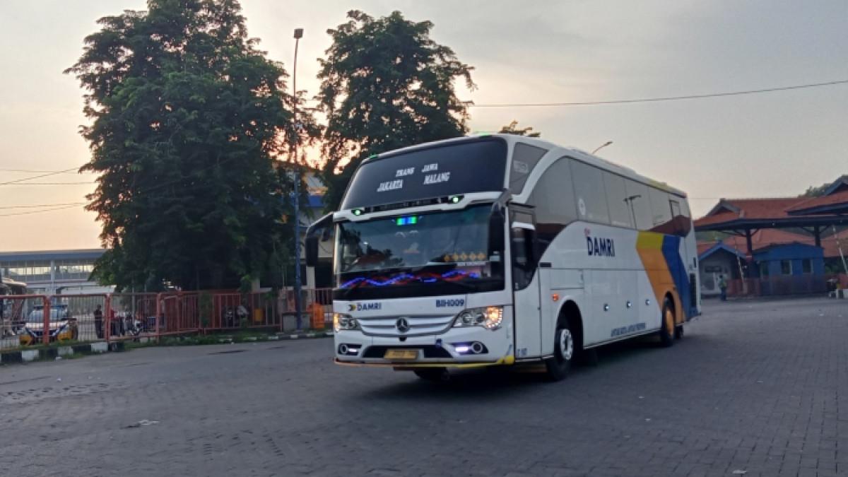 Naik DAMRI ke Baduy Mei 2026 Cuma Rp 1, Cek Jadwal dan Cara Bayarnya ...