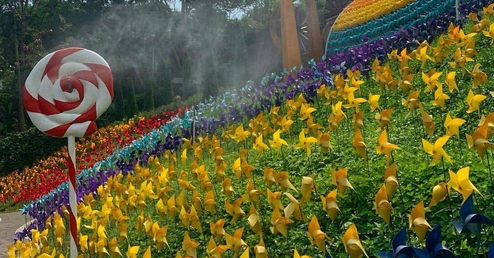 Jam Buka & Harga Tiket Masuk Cimory Dairyland Farm Theme Park Prigen ...
