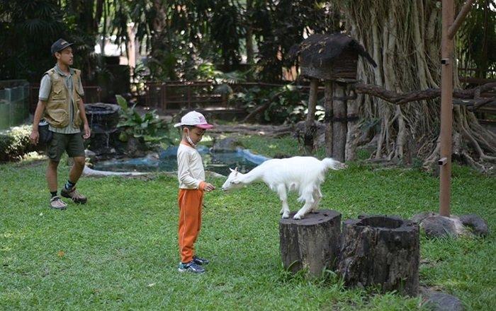 Gembira Loka Zoo Jogja Buka Saat Lebaran 2026, Cek Tiket Masuk dan Jam ...