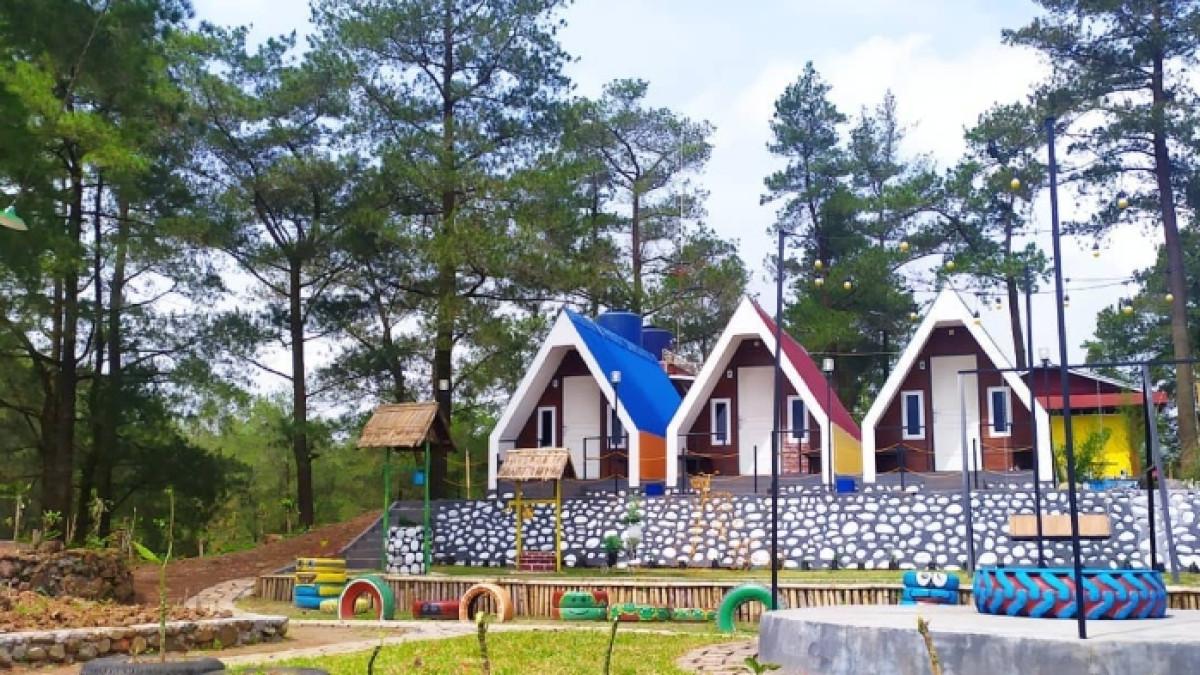 Hutan Pinus dan 7 Wisata Populer di Malino Kabupaten Gowa, Sulawesi ...
