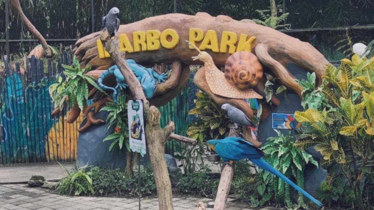 Harga Tiket Masuk Ibarbo Park Jogja untuk Kunjungan April 2026 - Tribun ...