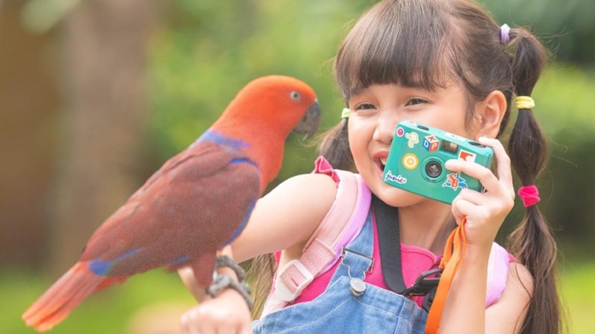 Harga Tiket Masuk Jakarta Bird Land, Promo Long Weekend Mei 2026 Rp 55 ...