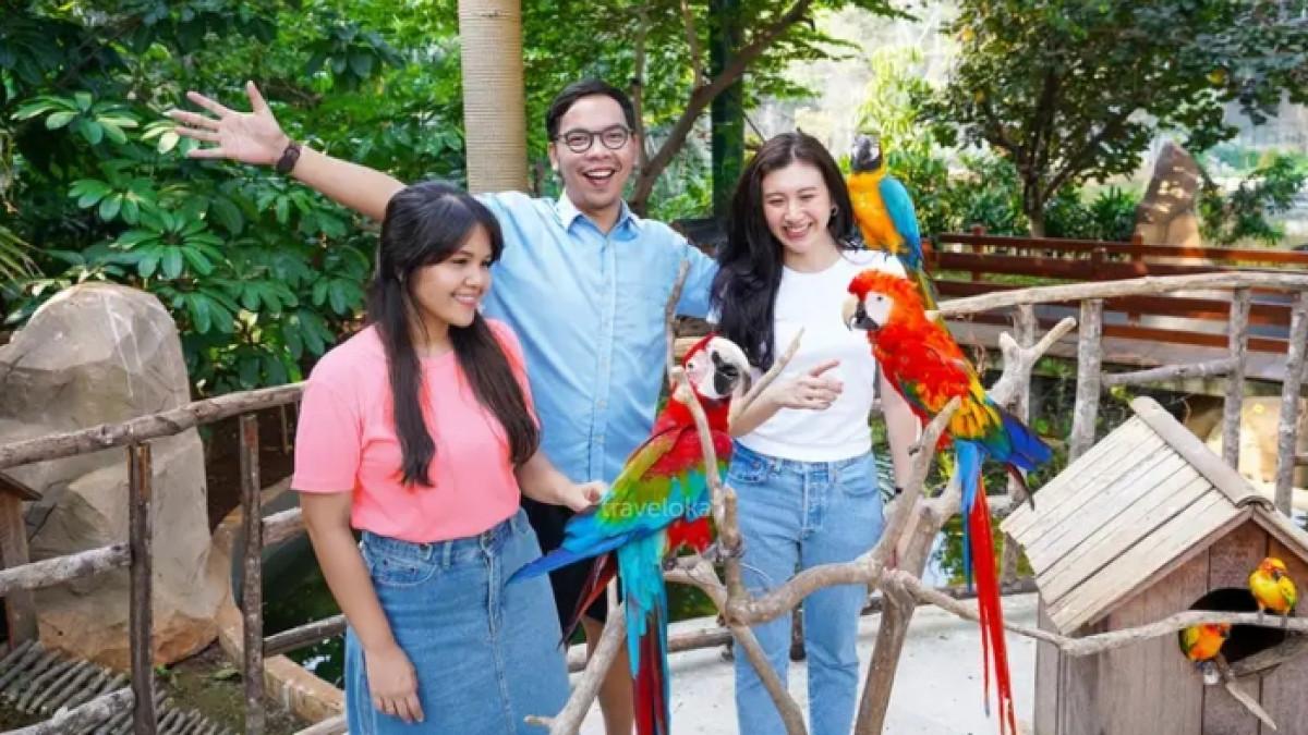 Harga Tiket Masuk Jakarta Bird Land, Promo Long Weekend Mei 2026 Rp 55 ...