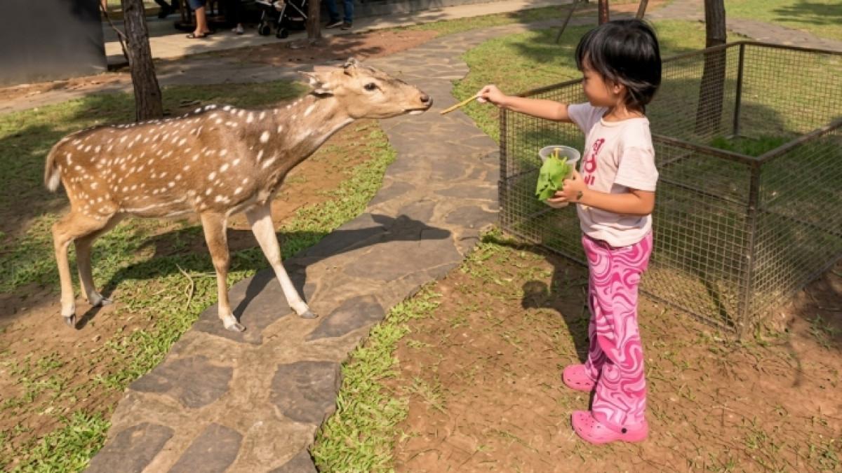 Harga Tiket Masuk Jasmine Park Tangerang, Promo April 2026 Mulai Rp 40 ...