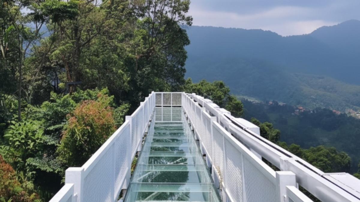 Harga Tiket Masuk Bukit Manik: Wisata Terbaru di Pamijahan Bogor, Jawa ...