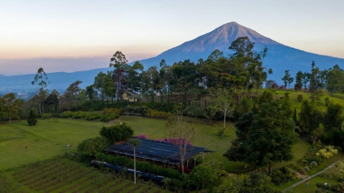 Itinerary Garut 1 Hari Penuh Bujet Rp 280 Ribu: Wisata Kebun Mawar ...