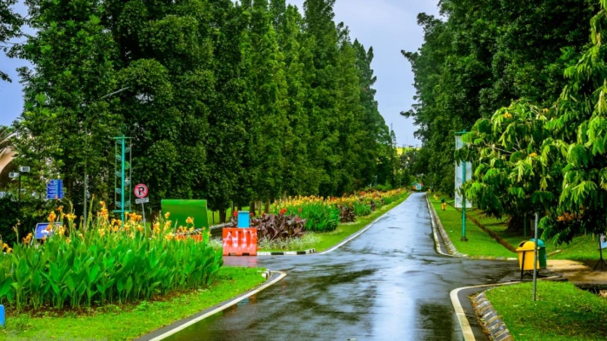 Harga Tiket Kebun Raya Bogor April 2026, Rute Murah dari Jakarta ...