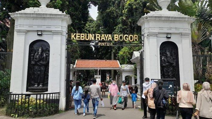 Harga Tiket Masuk Kebun Raya Bogor 2026, Panduan Liburan dari Jakarta ...