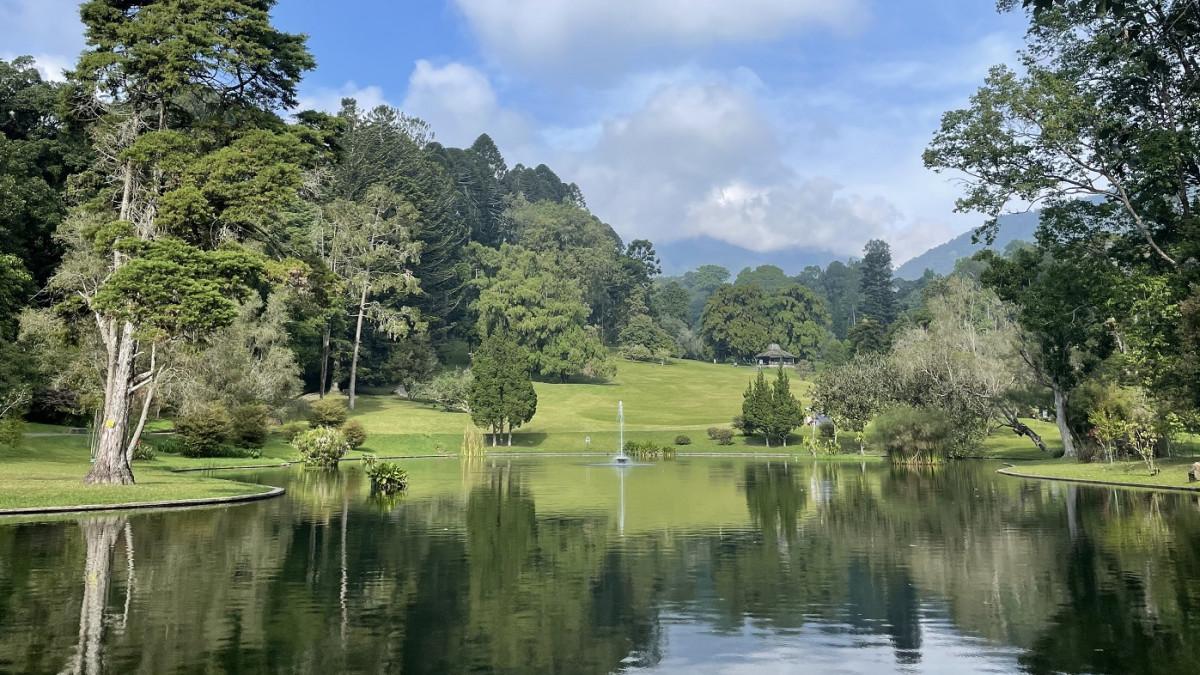 Harga Tiket Kebun Raya Cibodas Juni 2026, Ada Paket Stroberi dan ...