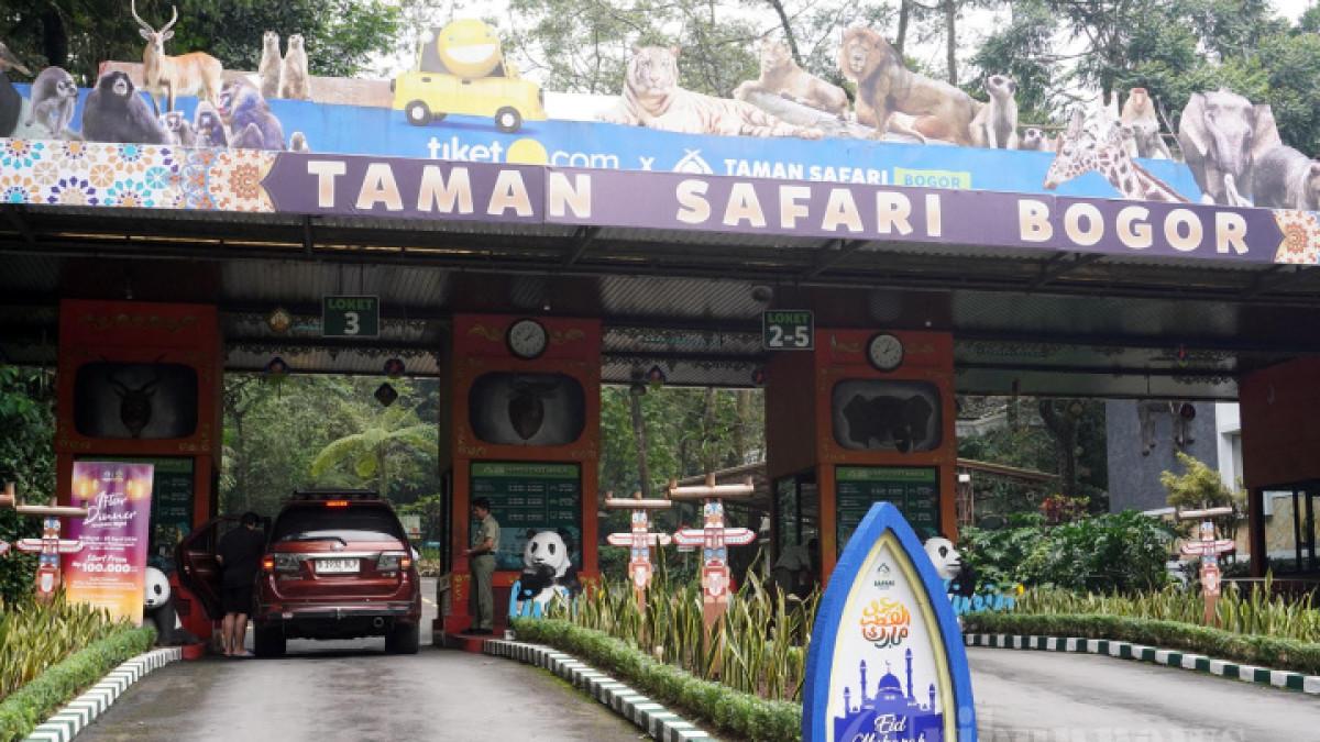 Rute ke Taman Safari Bogor 2026 dari Jakarta, Bogor, dan Bandung ...