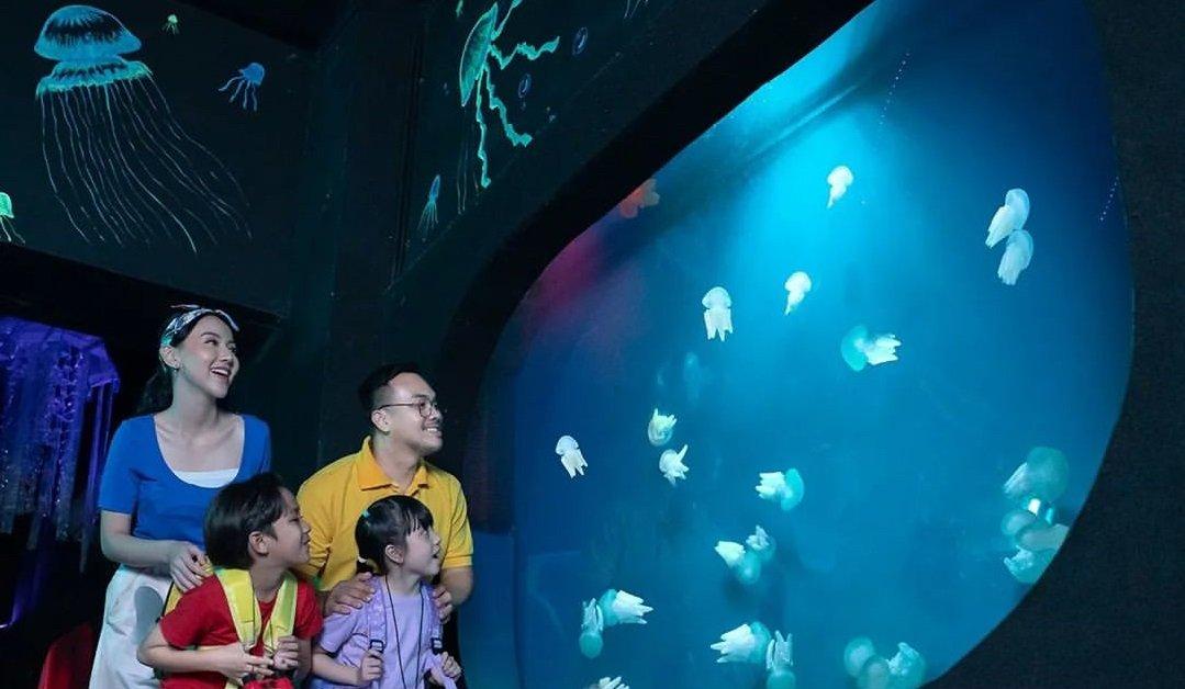 Info Lengkap Camping Under The Sea 2026, Pengalaman Bermalam di Sea ...