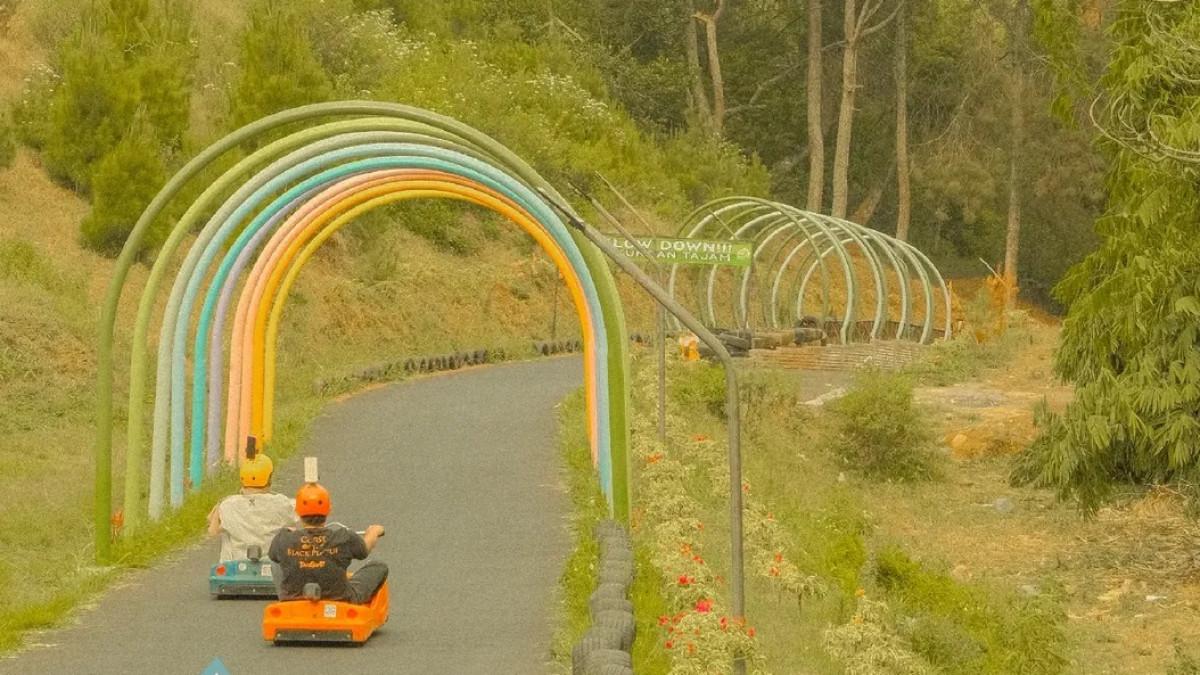 Berita Noah’s Park Terbaru Hari Ini - Tribun Travel