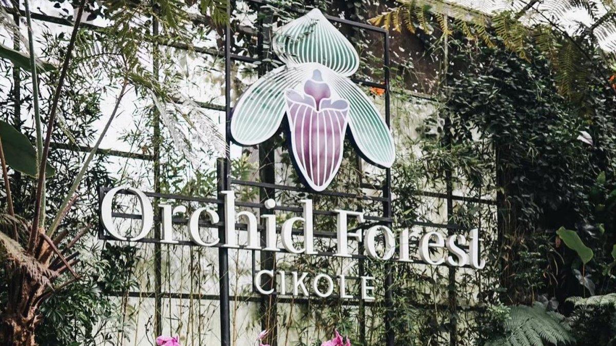 Itinerary Orchid Forest Cikole Lembang, Ngabuburit Berdua Bujet Rp 300 ...