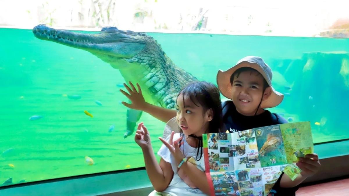 3 Wisata Kebun Binatang di Jogja yang Menarik Dikunjungi Bareng Anak ...