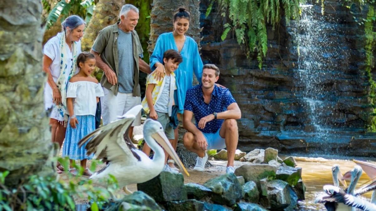 Harga Tiket Masuk Bali Bird Park, Turis Lokal Dapat Diskon 45 Persen ...