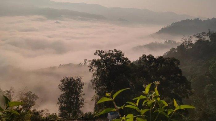 Explore Negeri di Atas Awan Citorek: Tiket Masuk, Lokasi & Daya Tarik ...