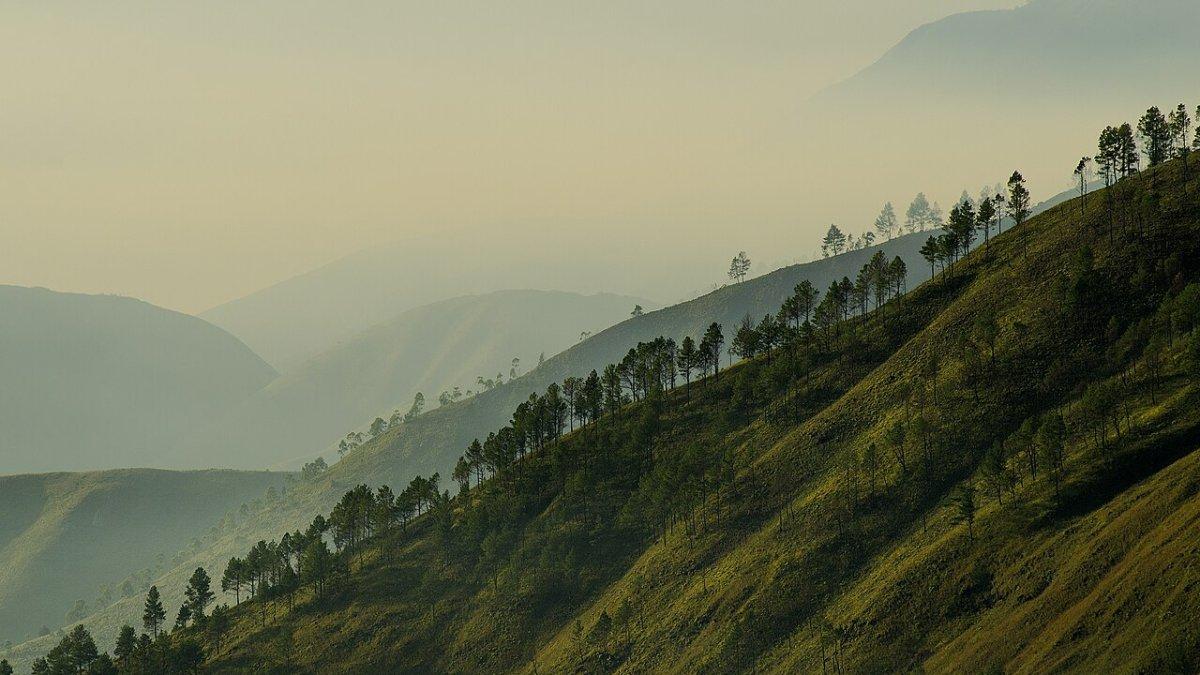 Pesona Pulau Samosir dari Menara Pandang Tele di Turpuk Limbong, Harian ...