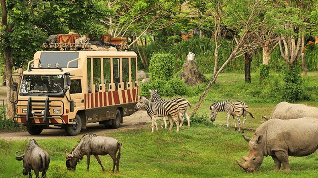 Bali Safari & Marine Park: Daya Tarik, Harga Tiket Masuk, Lokasi & Jam ...