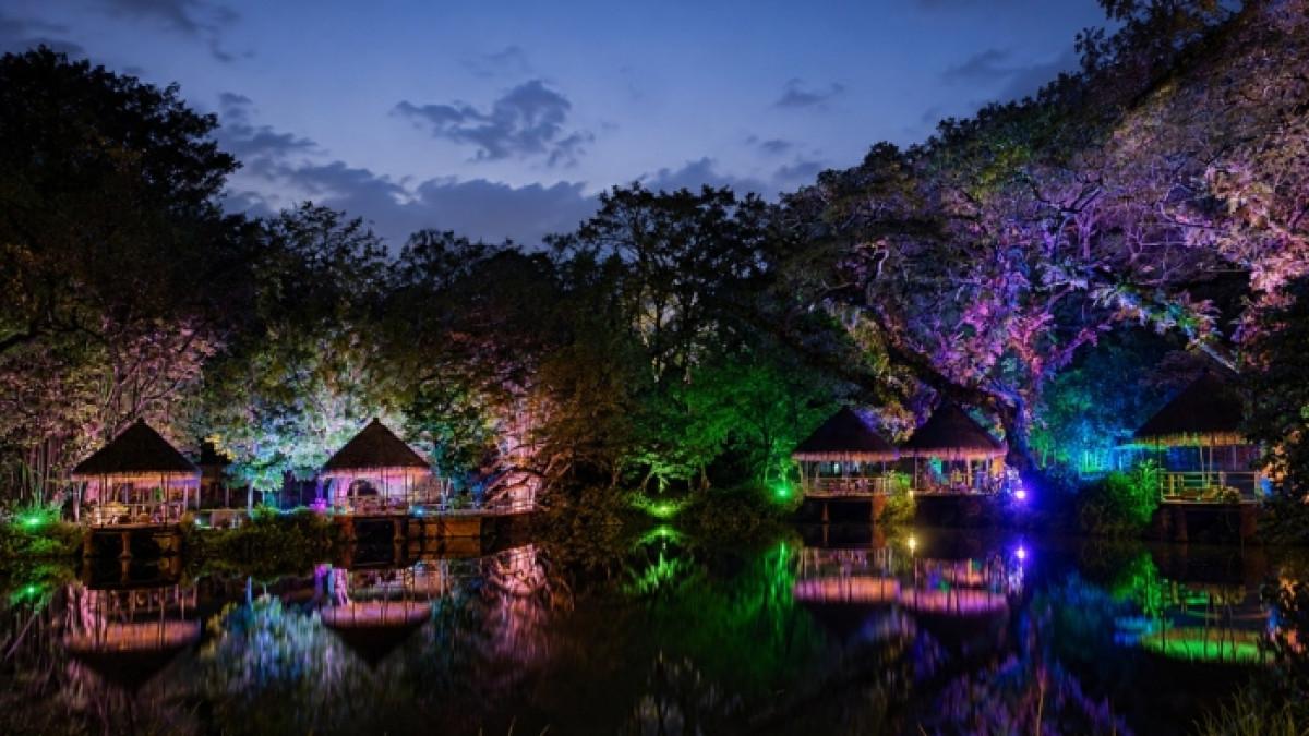 Harga Tiket Masuk Safari Vibes Mei 2026, Hutan Menyala di Solo Safari ...
