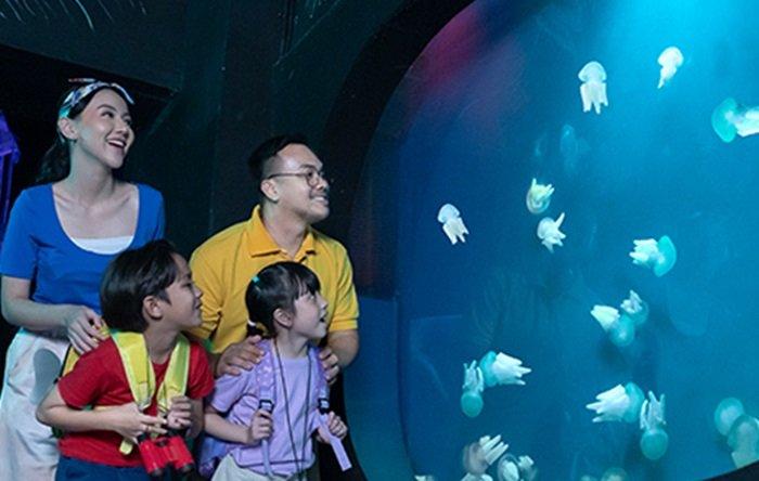 Promo Harga Tiket Masuk Sea World Ancol Spesial HUT ke-499 Jakarta ...