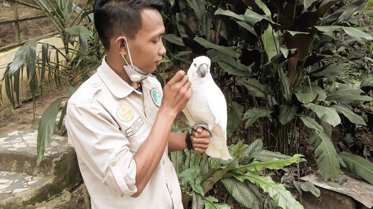 Harga Tiket Masuk Siantar Zoo untuk Lebaran 2026 Lengkap dengan Jam ...