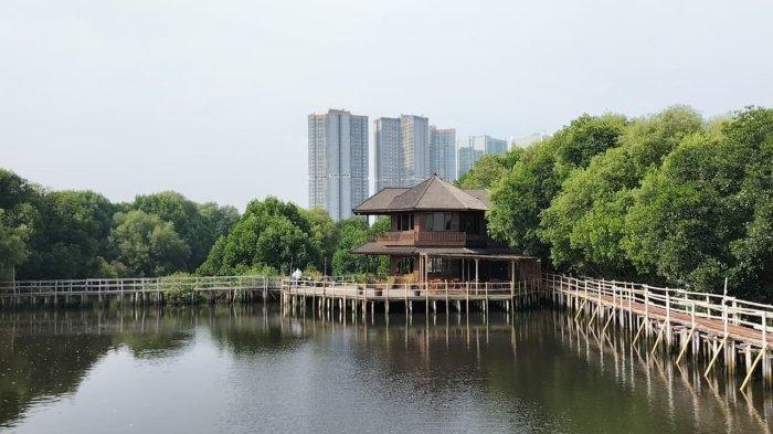 Taman Wisata Alam Mangrove Angke Kapuk Jakarta: Harga Tiket Masuk dan ...
