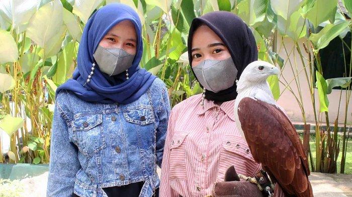 Kebun Binatang Siantar, Tempat Wisata di Pematang Siantar, Sumatera ...
