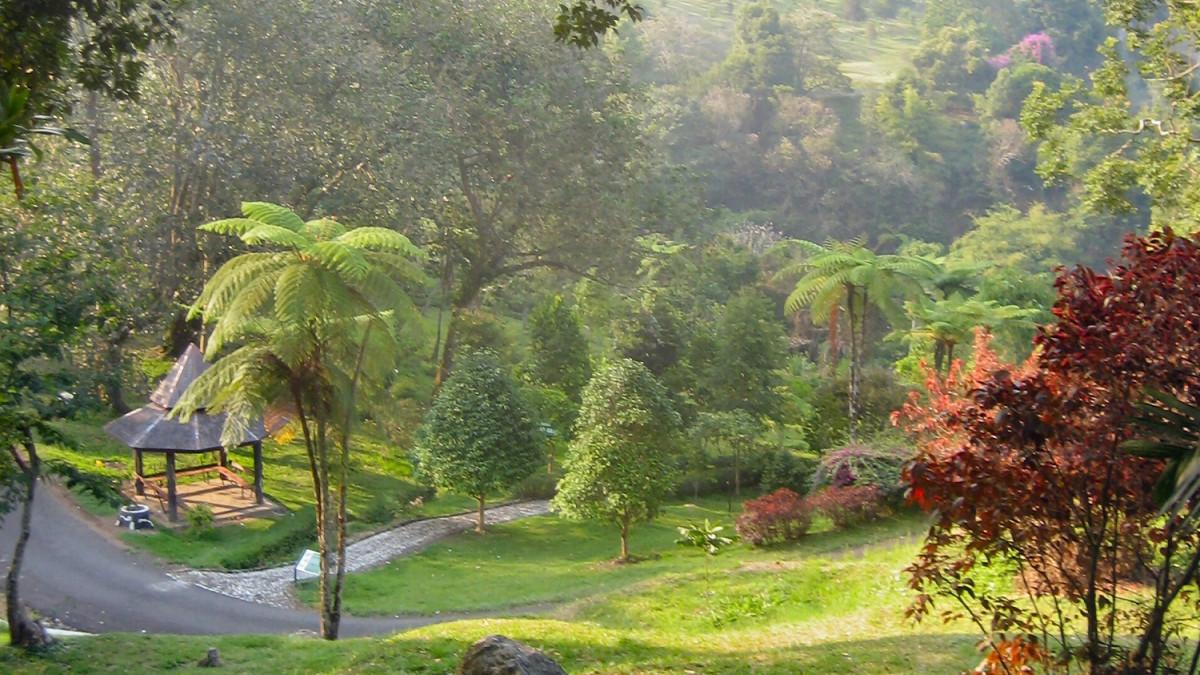 Harga Tiket Kebun Raya Cibodas Juni 2026, Ada Paket Stroberi dan ...