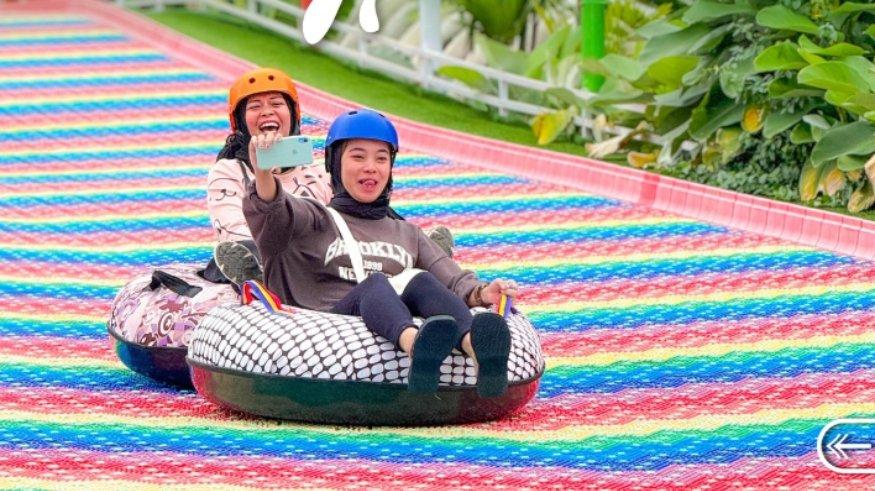 Panduan Menuju Taman Bunga Celosia dari Salatiga, 50 Menit Naik Mobil ...