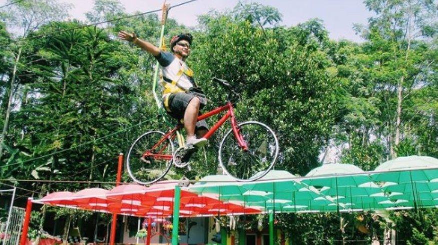 Wisata Bukit Flora Pasuruan: Lokasi, Daya Tarik, Harga Tiket Masuk, dan ...