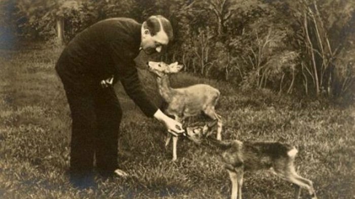 Tak Selalu Negatif, Ini 5 Fakta Tentang Nazi dan Hitler yang ...