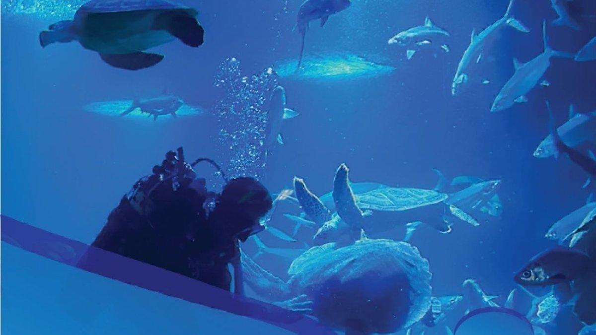 Harga Tiket Masuk Aquarium Indonesia Pangandaran untuk Libur Sekolah ...
