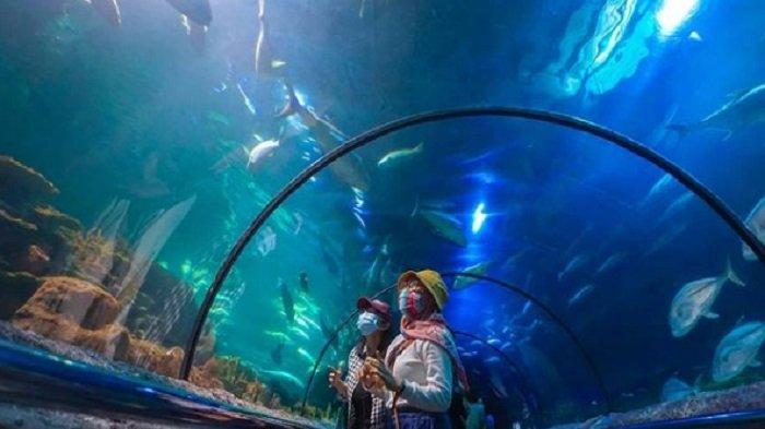 Info Lengkap Camping Under The Sea 2026, Pengalaman Bermalam di Sea ...