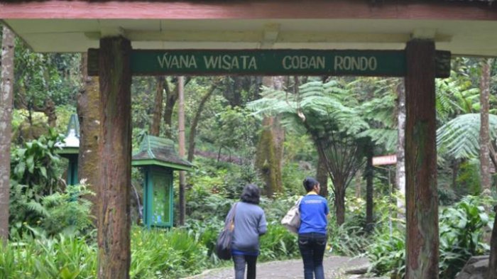 Harga Tiket Masuk Coban Rondo, Tempat Wisata Air Terjun di Pujon ...