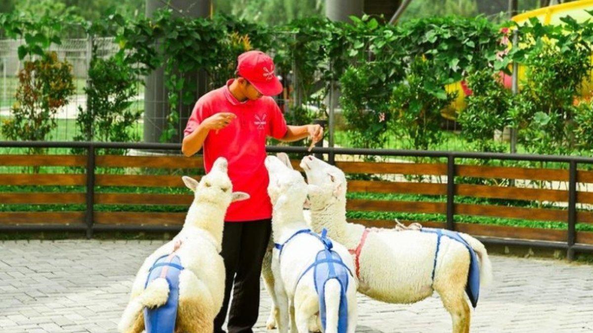 Harga Tiket Masuk Di Tepi Danau Kota Baru Parahyangan, Tempat Wisata ...