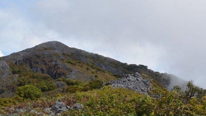 Taman Nasional Manusela di Maluku Tengah Tambah Kuota Kunjungan 50 ...