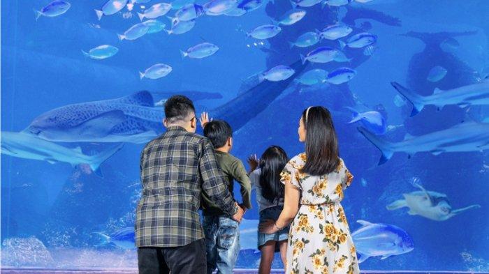 Harga Tiket Masuk Terbaru Jakarta AQuarium & Safari per Februari 2026 ...