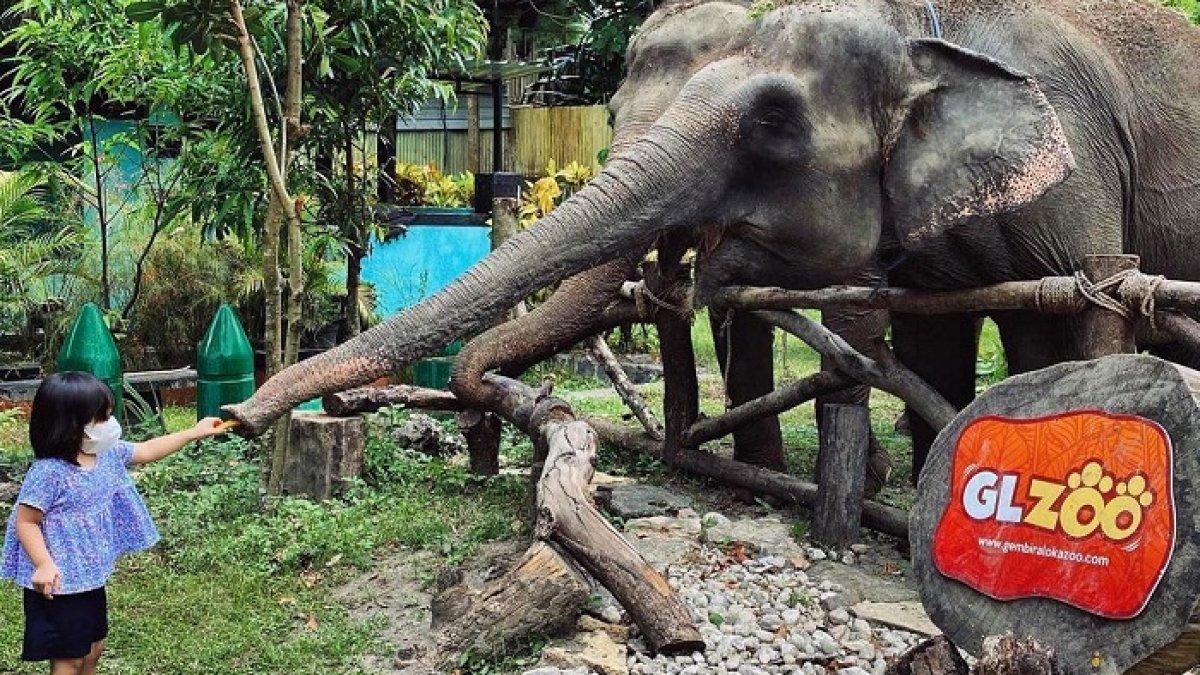 Gembira Loka Zoo Jogja : Daya Tarik, Harga Tiket Masuk, Lokasi, dan Jam ...