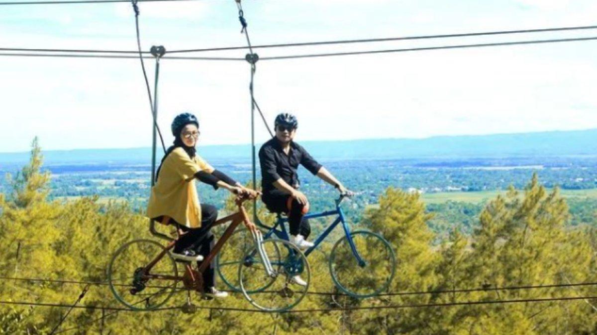 Kemit Forest Cilacap: Lokasi, Rute, Daya Tarik, Harga Tiket Masuk, dan ...