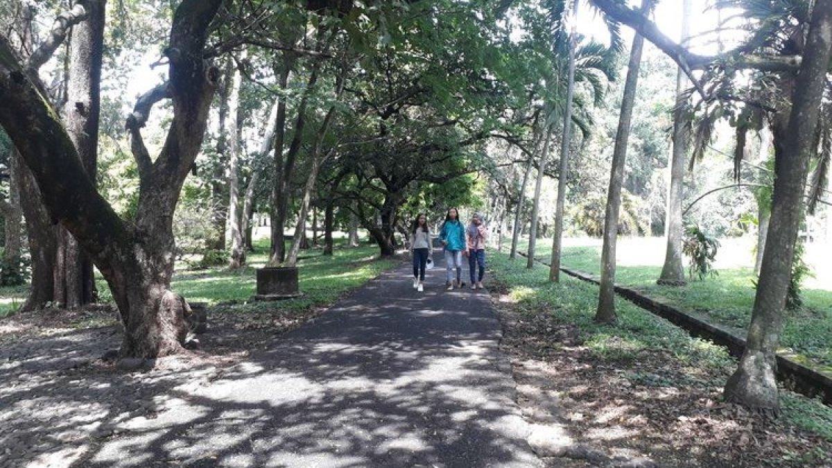 Harga Tiket Kebun Raya Purwodadi Juni 2026, Promo Piknik dan Shuttle ...