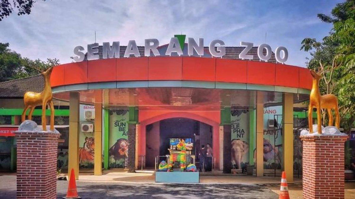 Semarang Zoo Punya Promo Libur Sekolah 2026, Pelajar Bisa Masuk Gratis ...