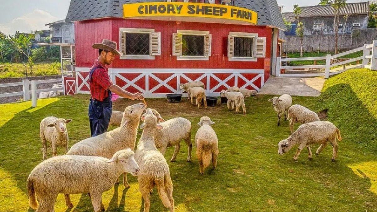 Promo Harga Tiket Masuk Dairyland Farm Theme Park Prigen & Zona Terbaru ...
